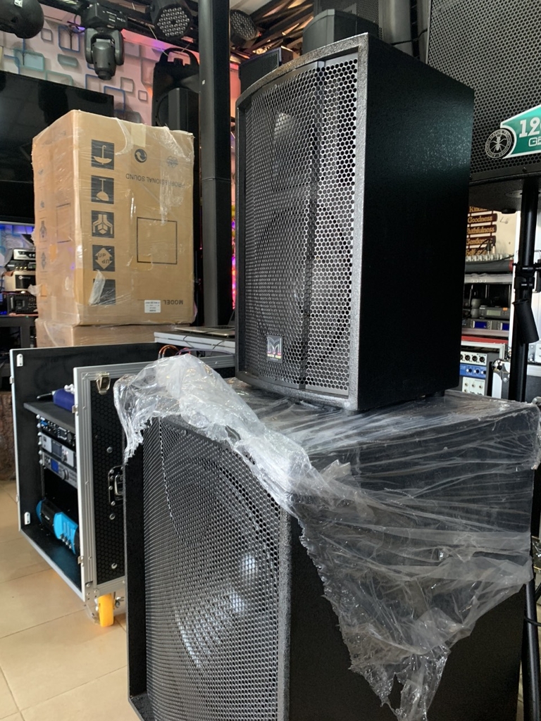 MARTIN F12+ Bass 12inch - Chuyên nghiệp