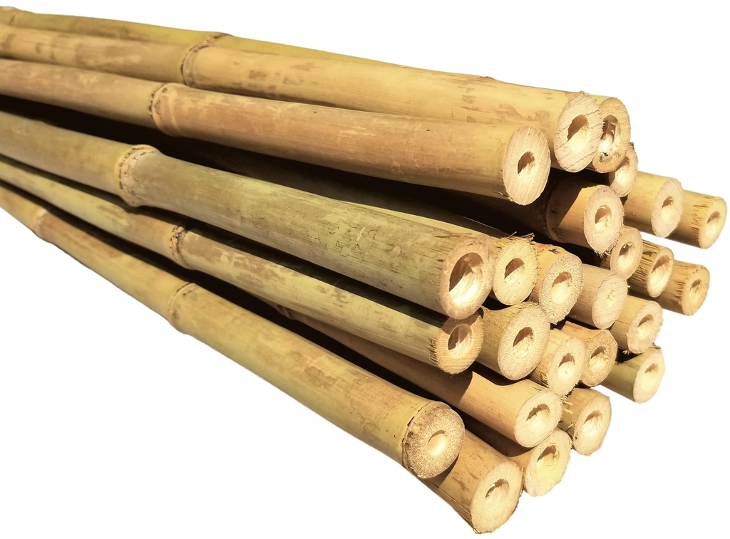 Bamboo Poles