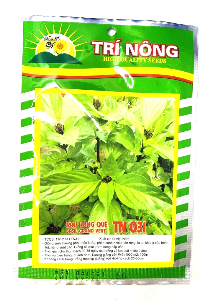 Hạt giống rau húng quế TN 031 | TDKmart.com