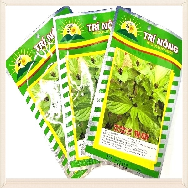 Hạt giống rau húng quế TN 031 | TDKmart.com