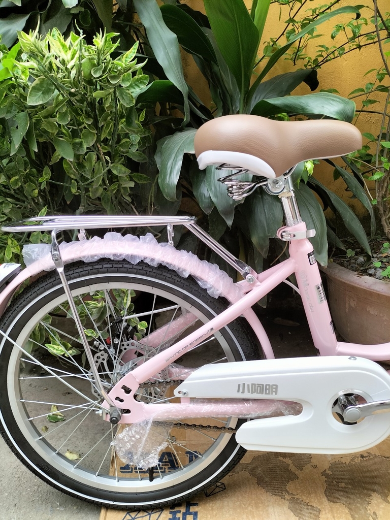 XE ĐẠP XAMING MINI SIÊU XINH BÉ GÁI 2 GIÓNG SIZE 20-24- MỚI NHẤT 2024 ...