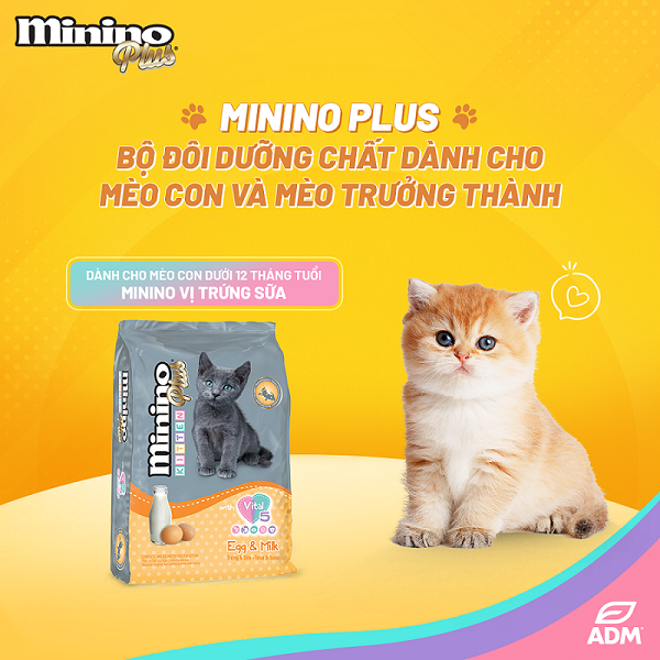 Hạt Minino Plus Kitten cho mèo con Meowy Pet Shop