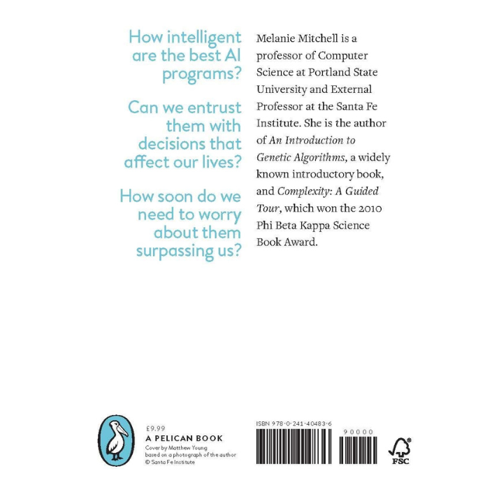 Artificial Intelligence: A Guide for Thinking Humans