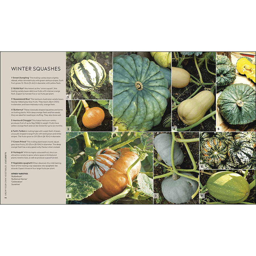 RHS Step-by-Step Veg Patch: A Foolproof Guide to Every Stage of Growing ...