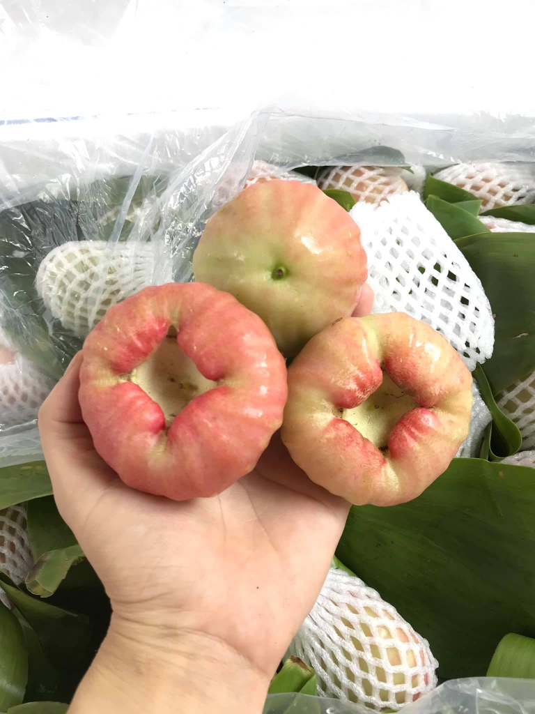 Roi đào đá Bếp Bụng Bự