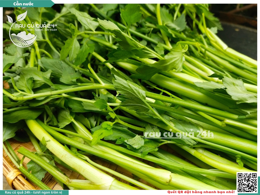 Rau Cần nước khoảng 400g | Rau củ quả 24h