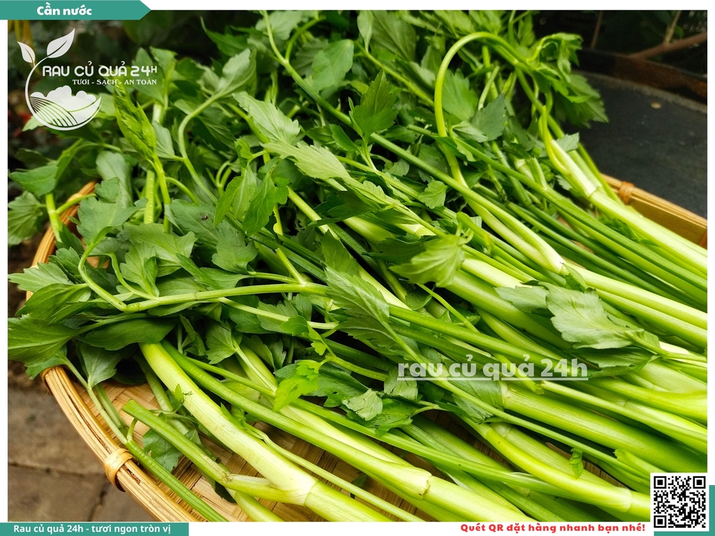 Rau Cần nước khoảng 400g | Rau củ quả 24h