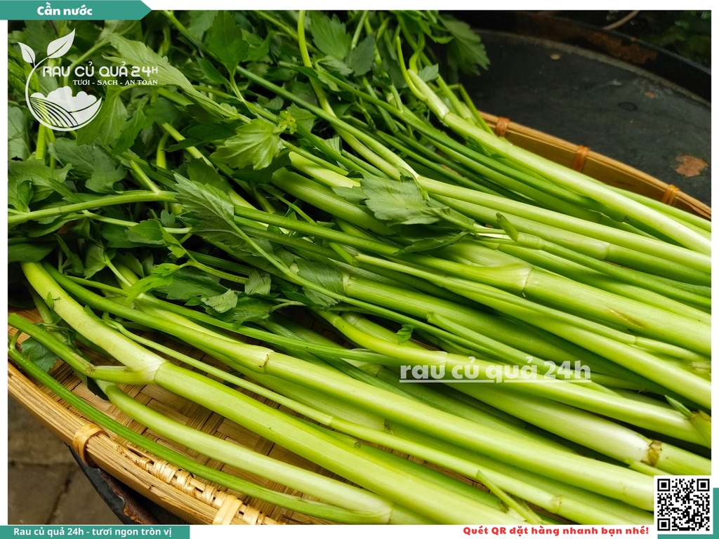 Rau Cần nước khoảng 400g | Rau củ quả 24h
