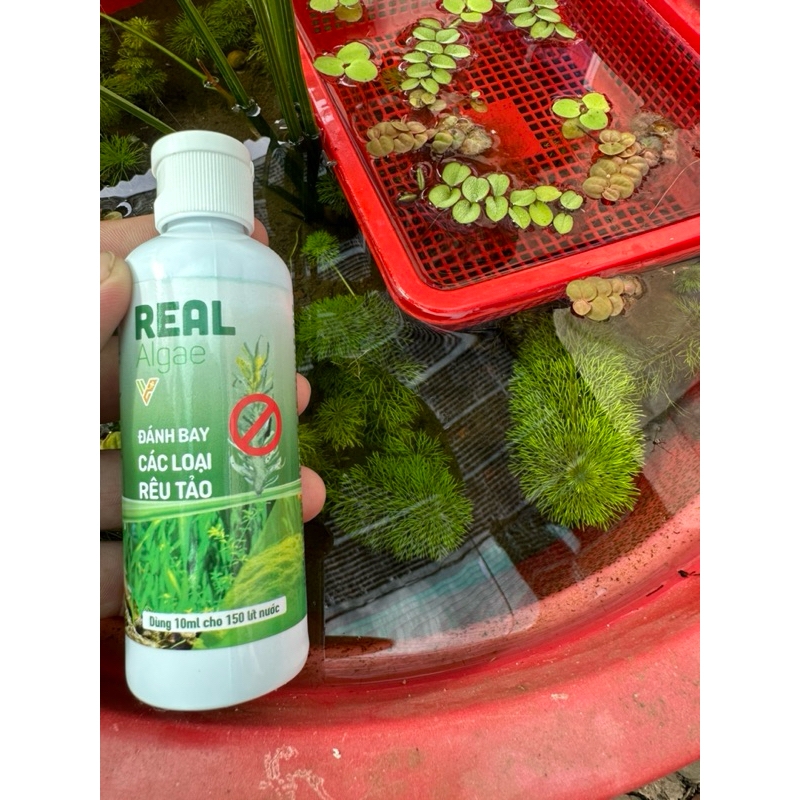 REAL ALGAE 100ml - Chuyên Xử Lý Các Loại Tảo và Rêu Hại, Nước Xanh cho ...