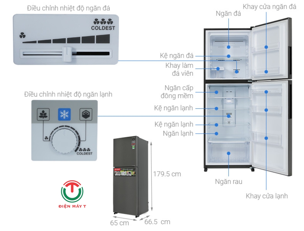 Tủ lạnh Sharp Inverter 360 lít SJ-XP382AE-DS | Điện Máy T