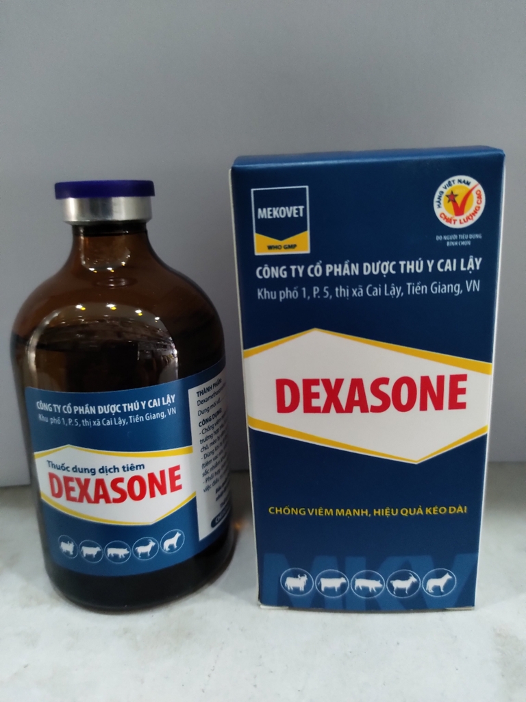DEXASONE Thuốc dung dịch tiêm chống viêm mạnh