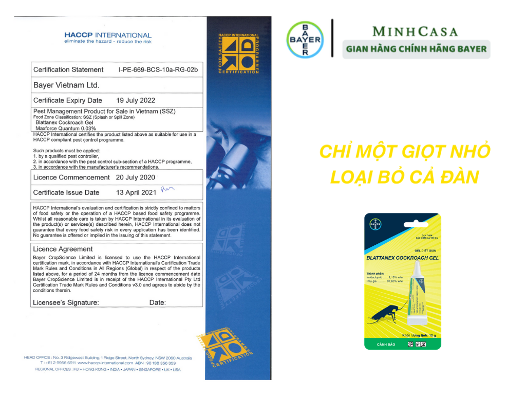 Gel diệt gián Blattanex Cockroach Bayer
