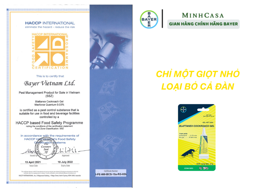 Gel diệt gián Blattanex Cockroach Bayer