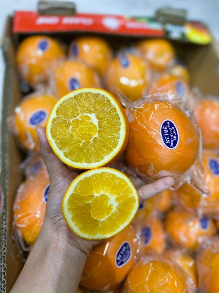 Cam Kiếng Đài Loan Daddy Mart