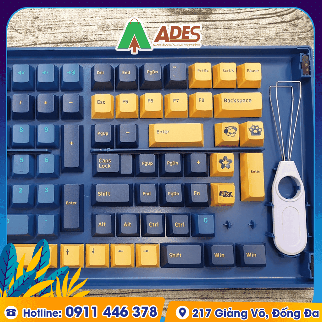 AKKO Keycap set – Macaw (PBT Double-Shot/Cherry profile/157 nút) | Công ...