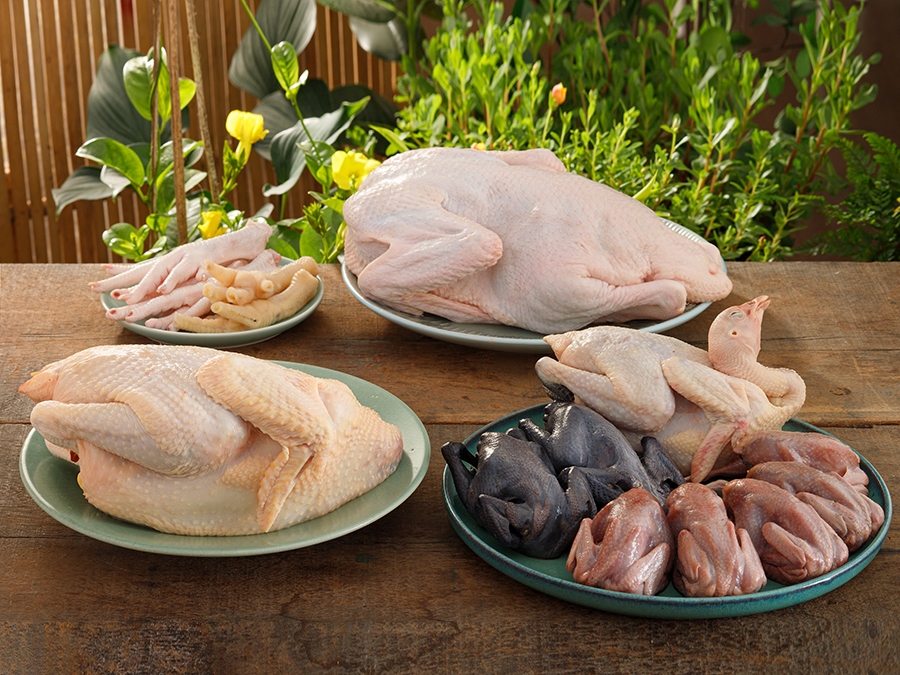 Chim cút Tiệm gà tươi - Ngon - Sạch - Tiện lợi