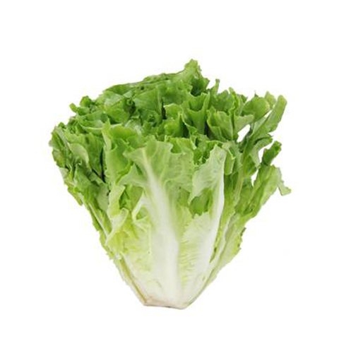 Xà Lách CaRol - Công ty TNHH TM DV VINFOOD