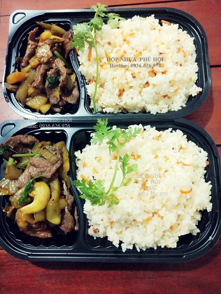 HỘP NHỰA ĐỰNG CƠM 2 NGĂN HT17