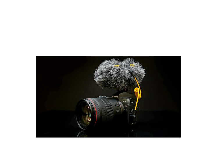 Deity Microphones V-Mic D4 DUO Dual-Capsule Micro Camera-Mount Shotgun ...
