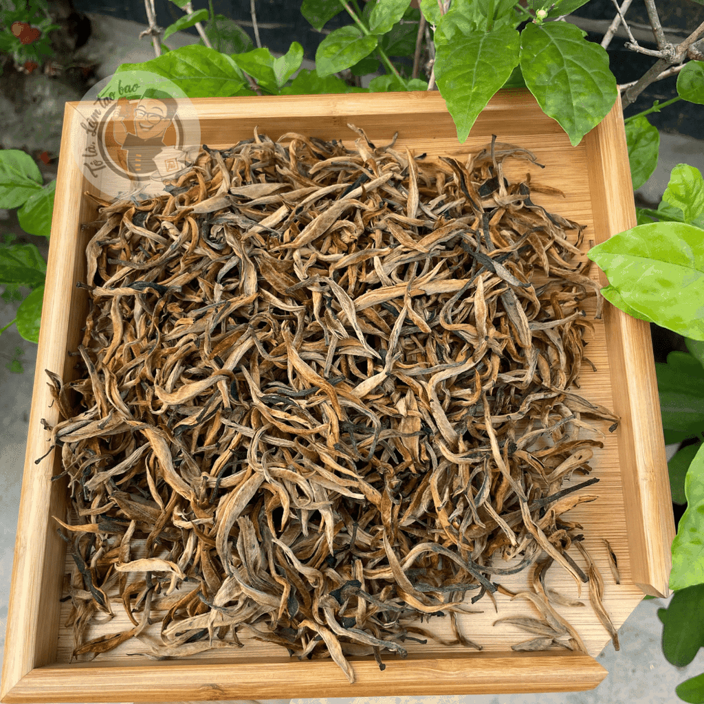 Điền Hồng kim chân Búp