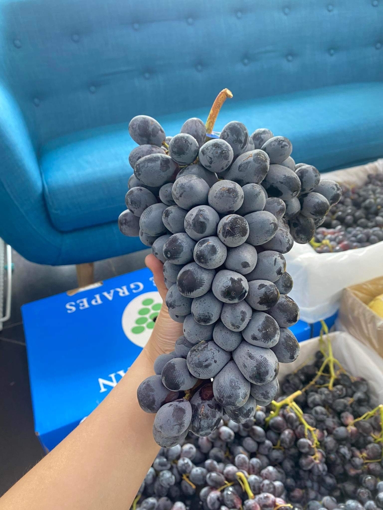 Nho đen Úc tươi ngon, giàu chất chống oxy hóa - Fruit Zone