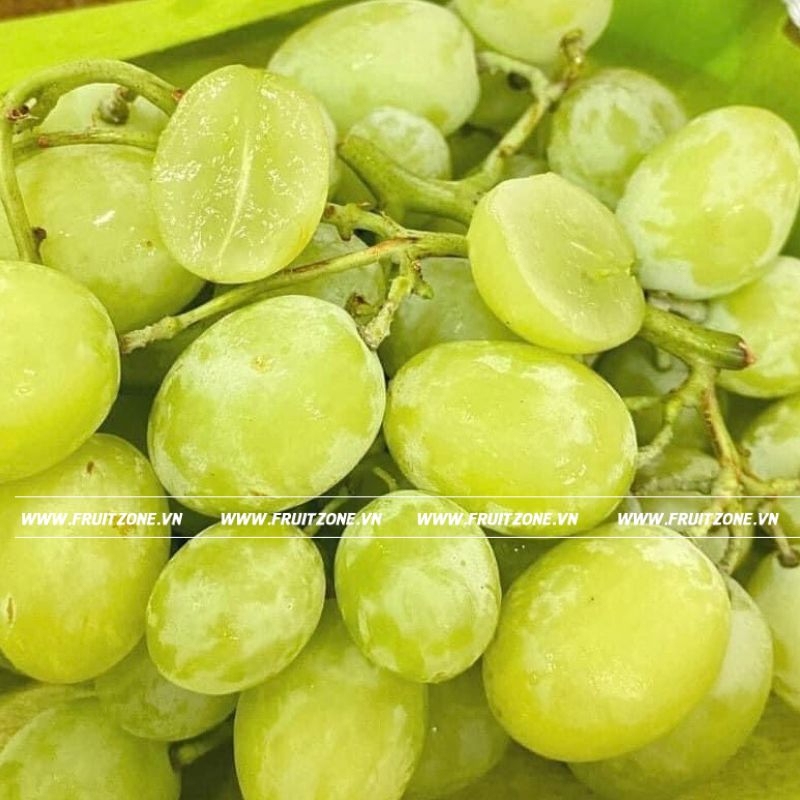 Nho xanh Mỹ | Nho nhập khẩu cao cấp | FruitZone