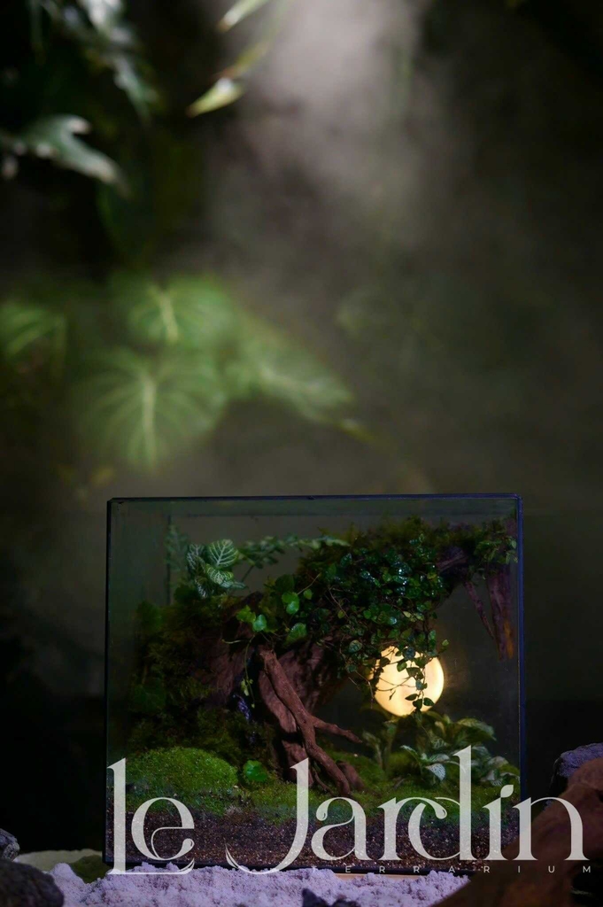 Series - THE VIVARIUM - MOONWAKE | Terrarium Le Jardin