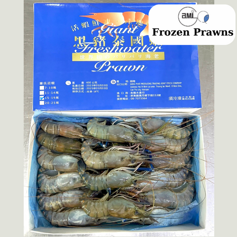 Frozen Prawns Amigo Seafood Processing JSC
