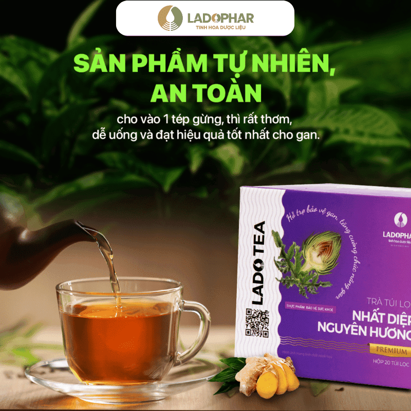 LADO TEA TRÀ TÚI LỌC NHẤT DIỆP NGUYÊN HƯƠNG (Hộp 20 túi lọc) | CÔNG TY ...