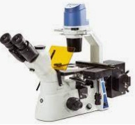 KÍNH HIỂN VI ĐẢO NGƯỢC HUỲNH QUANG Model : INV100-FL Hãng : BEL / Ý | Công ty THNH Thiết Bị Khoa ...