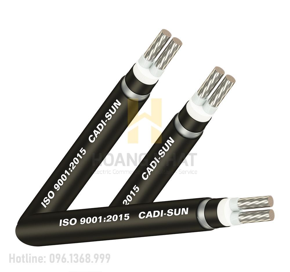 Cáp nhôm ngầm 2 lõi bọc cách điện Al/XLPE/PVC/DSTA/PVC 2x70 (0.6/1kV)