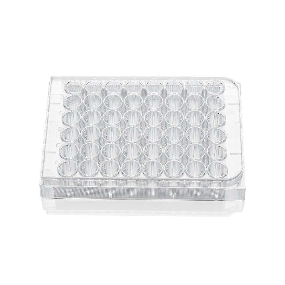 48-well cell culture plate, poly-D-lysine coated surface