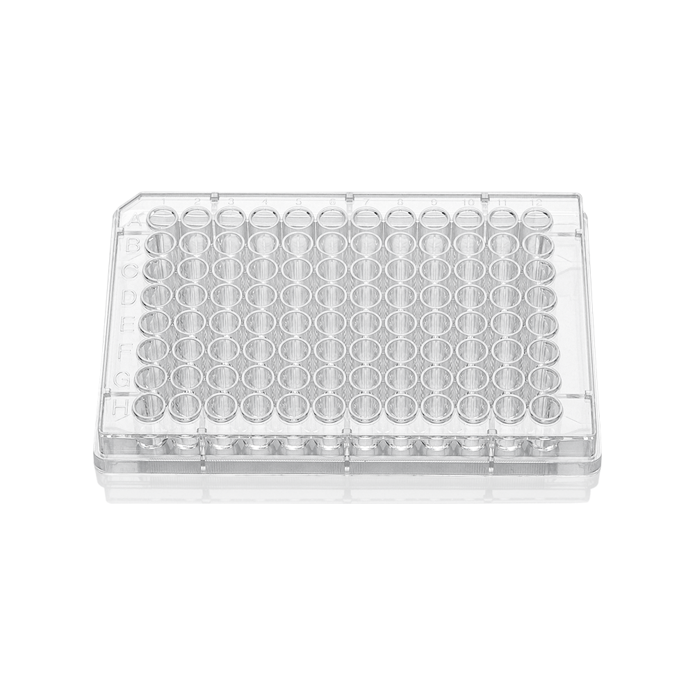 96-well cell culture plate, poly-D-lysine coated surface