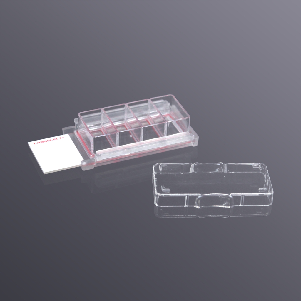 Cell culture chamber slides (4 wells, TC treated)