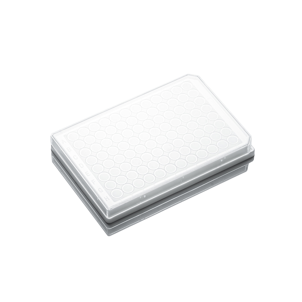 96-well cell culture plate, frame, transparent flat bottom (not treated ...