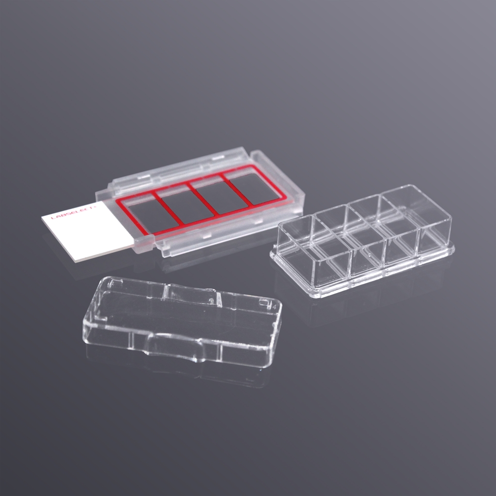 Cell culture chamber slides (4 wells, TC treated)
