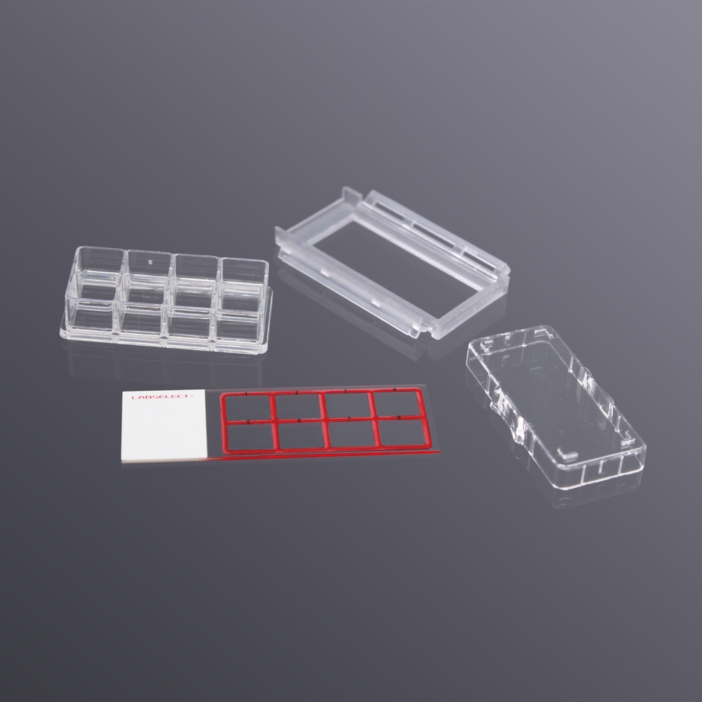 Cell culture chamber slides (8 wells, TC treated)