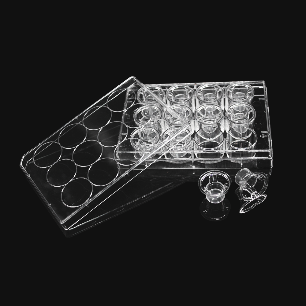 Cell Invasion Chamber, Model: 14248S, Thương hiệu: Labselect