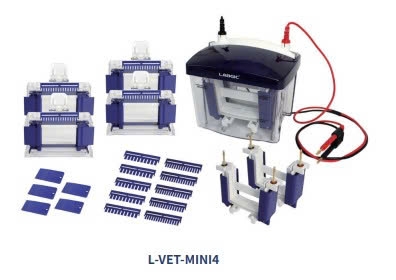 L-VET-MINI Mini Vertical Electrophoresis Cell, Thương hiệu: Labgic