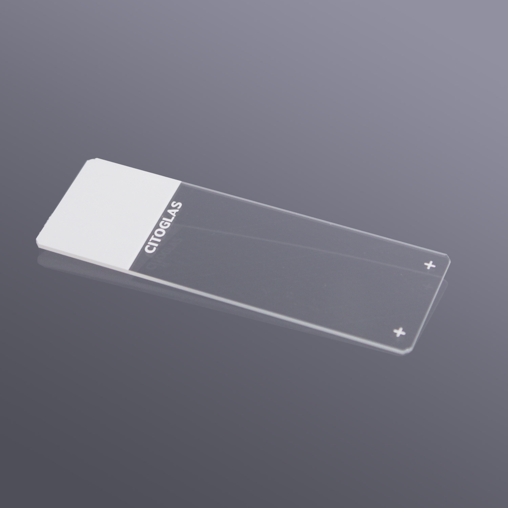 Lam kính (Microscope fragment slide)