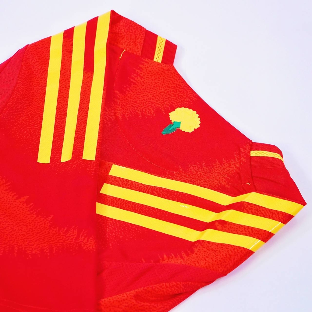 TBN Home (2024 - 2025) Màu Đỏ + Cộc tay | Bản PLAYER [Có quần] Hang Thể ...