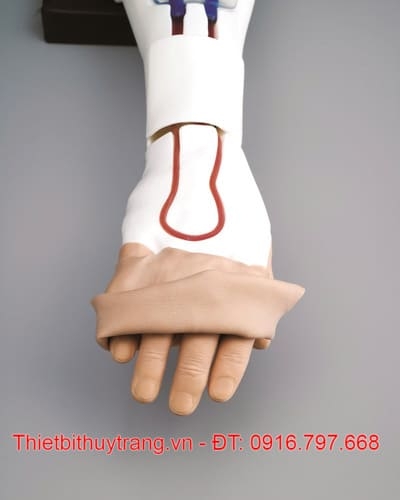 MÔ HÌNH ĐÀO TẠO ĐƯỜNG TĨNH MẠCH KHÓ CỐ ĐỊNH LM-086 KOKEN