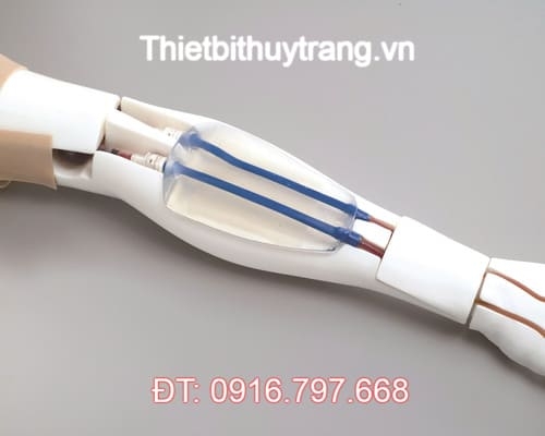 MÔ HÌNH ĐÀO TẠO ĐƯỜNG TĨNH MẠCH KHÓ CỐ ĐỊNH LM-086 KOKEN