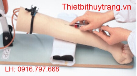 MÔ HÌNH TIÊM TRUYỀN TĨNH MẠCH CÁNH TAY LM-028 KOKEN