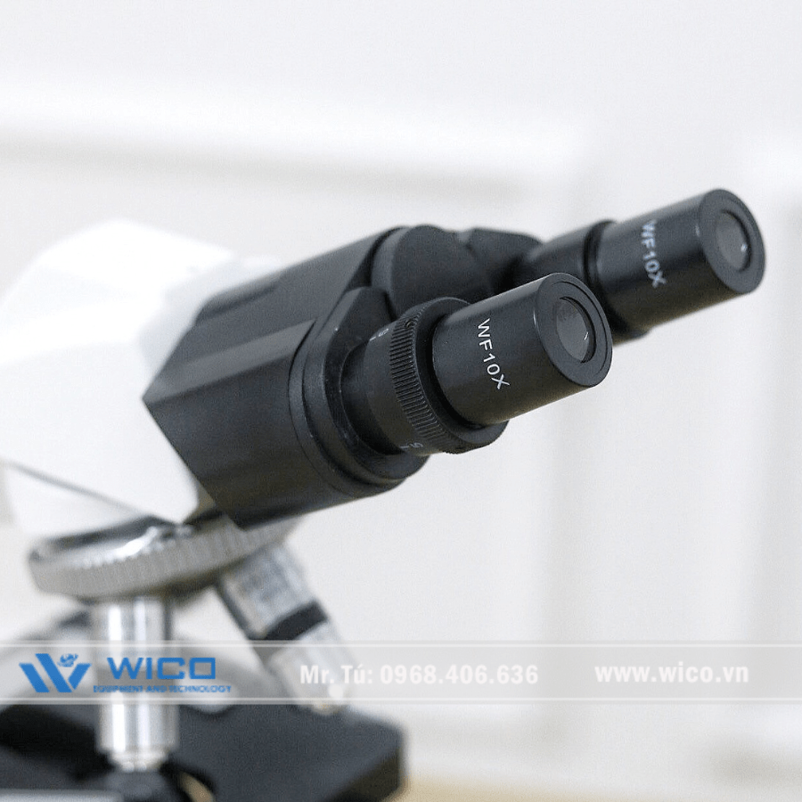 Kính Hiển Vi Sinh Học 2 Mắt Shinea Trung Quốc XSZ-207T | Wico Việt Nam