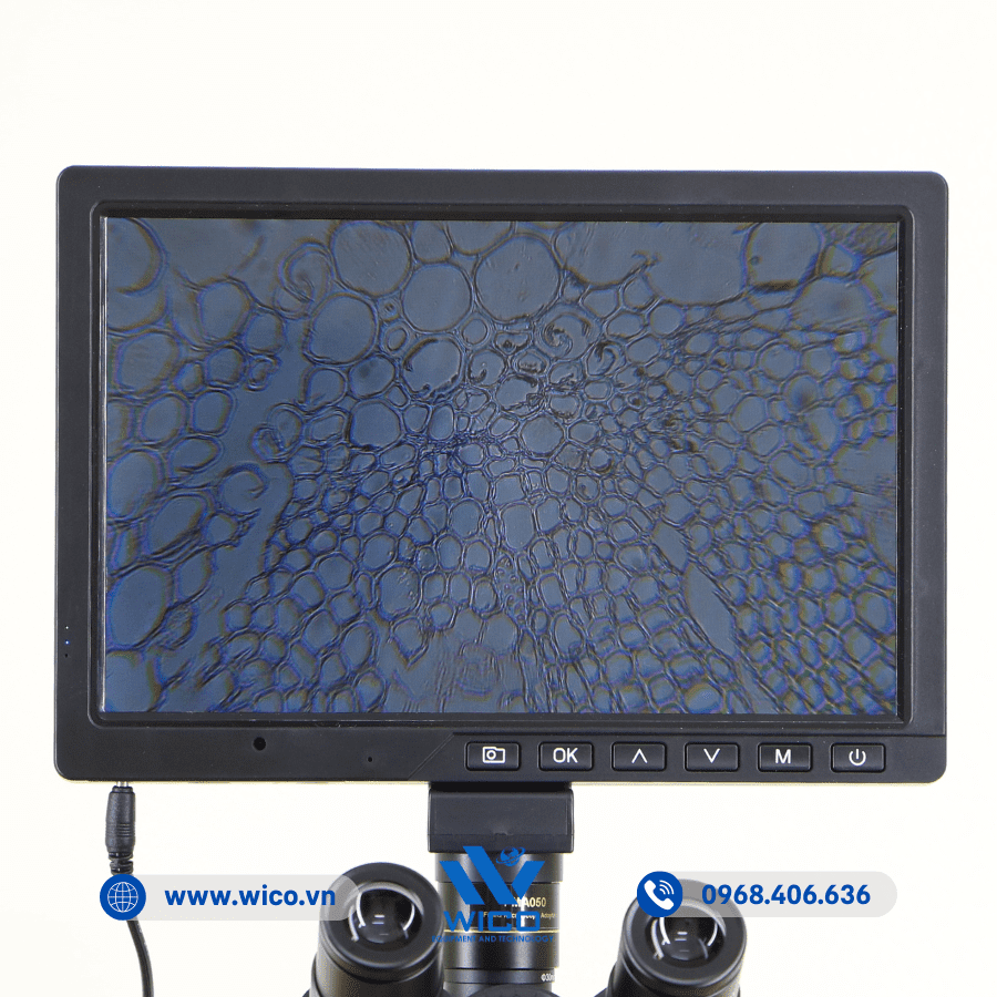 Camera Cho Kính Hiển Vi Điện Tử CCD-16MP | Wico Việt Nam