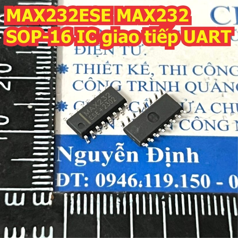 Đện tử Khải Định - Thỏa sức đam mê