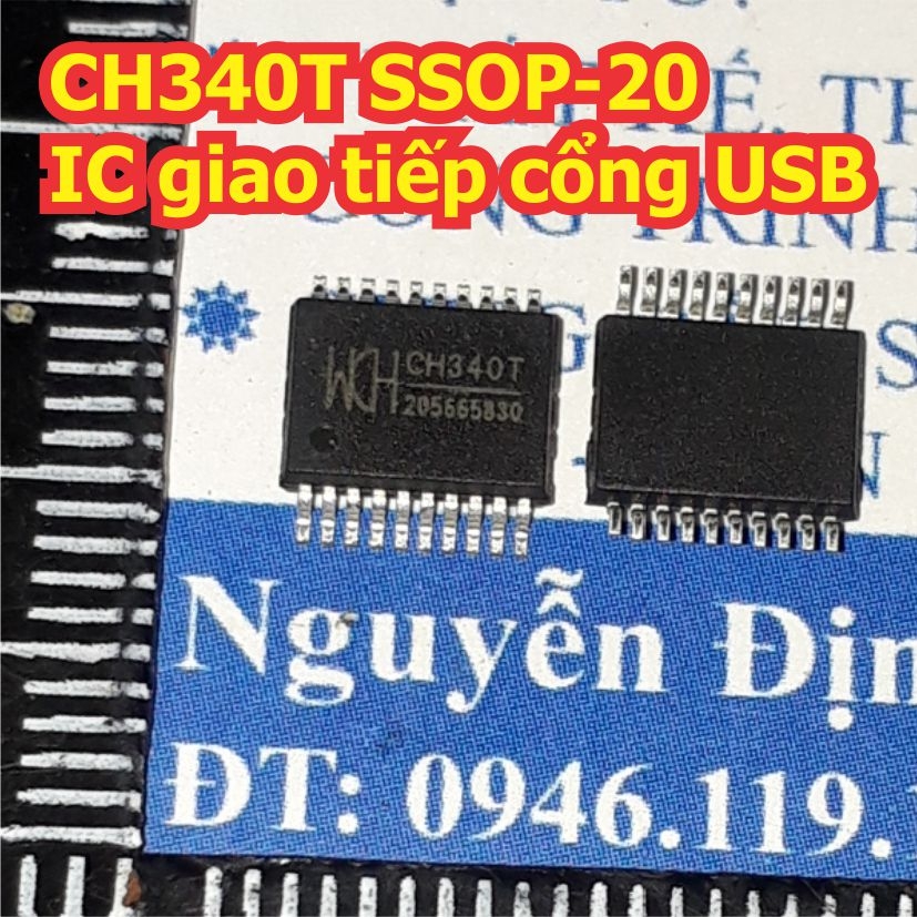 Đện tử Khải Định - Thỏa sức đam mê