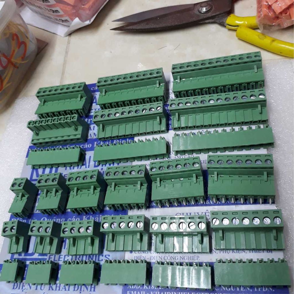 Đện tử Khải Định - Thỏa sức đam mê