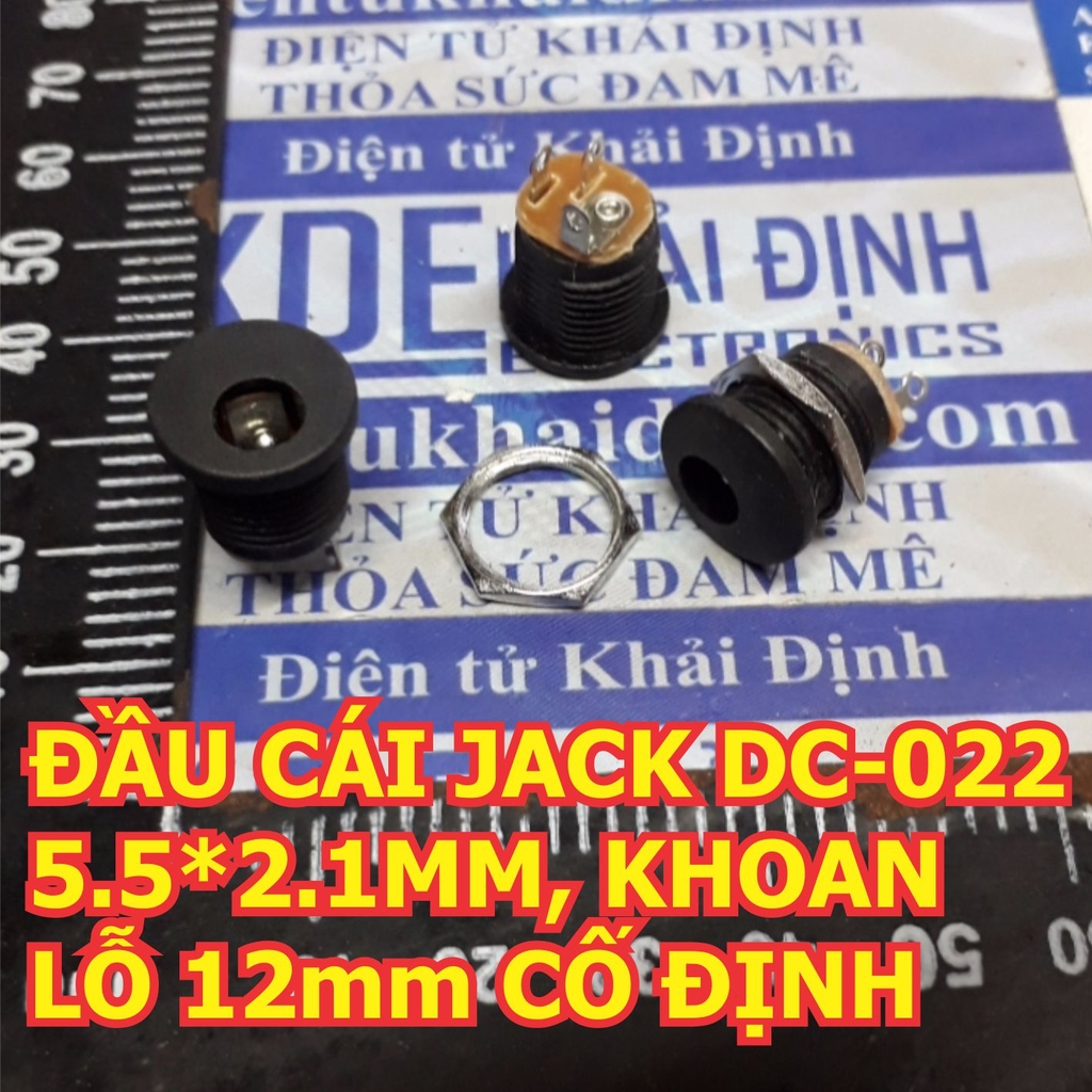 Đện tử Khải Định - Thỏa sức đam mê